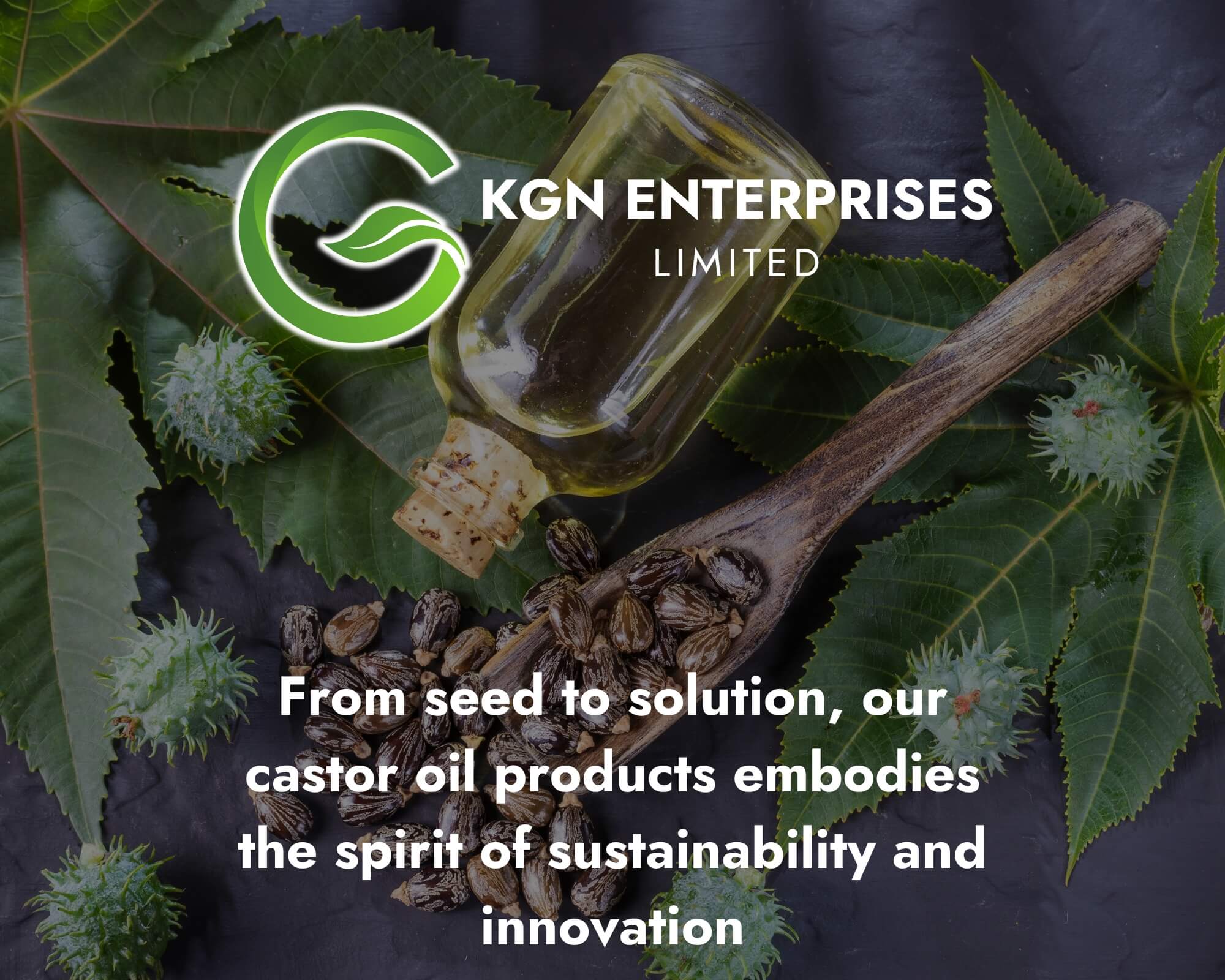 Home - KGN Enterprises Limited